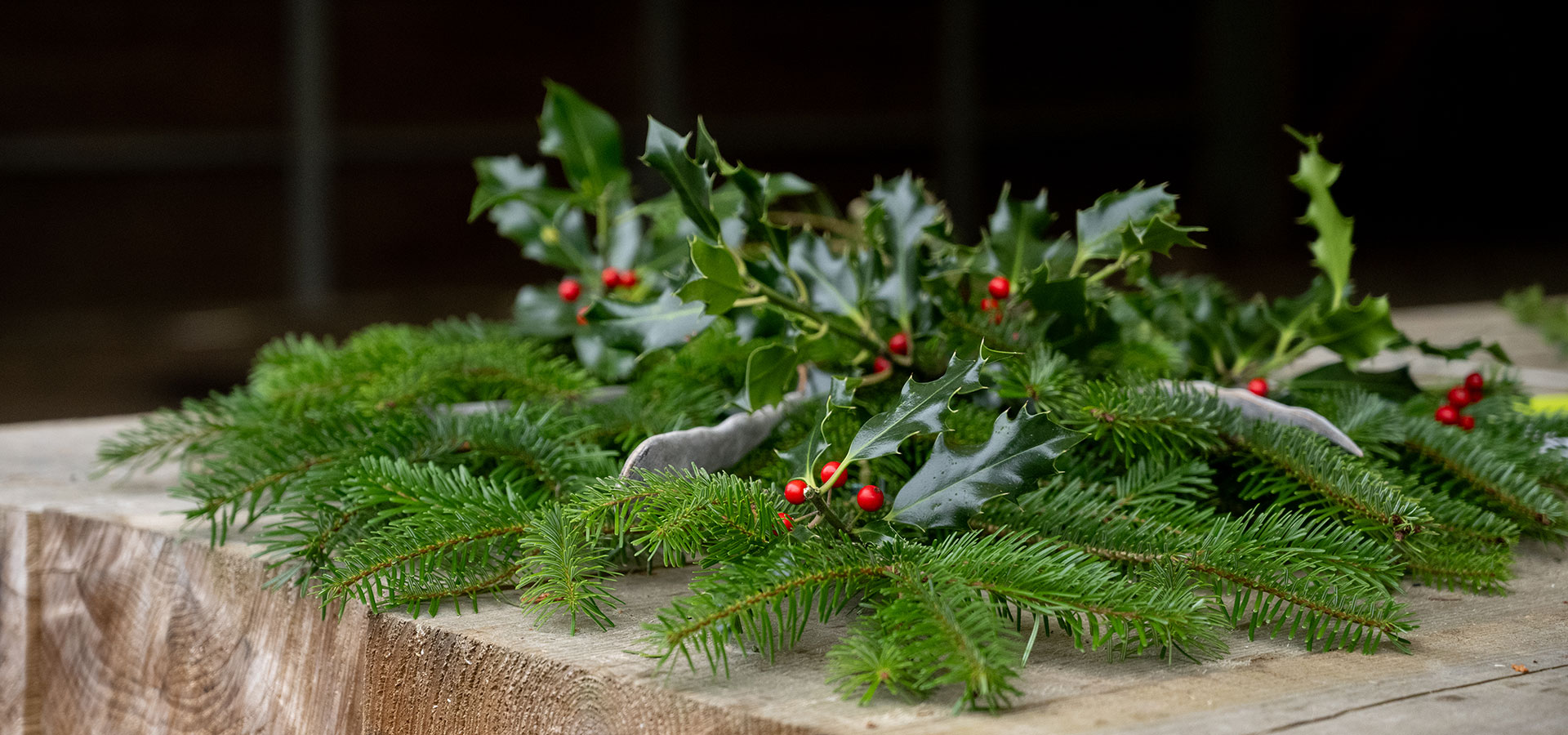 Christmas Trees - Balcombe Estate, West Sussex